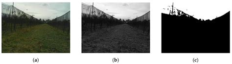 Autonomous Navigation And Crop Row Detection In Vineyards Using Machine Vision With 2d Camera