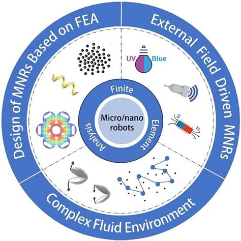 Schematic Illustration Of The Finite Element Analysis Fea Of External Download Scientific