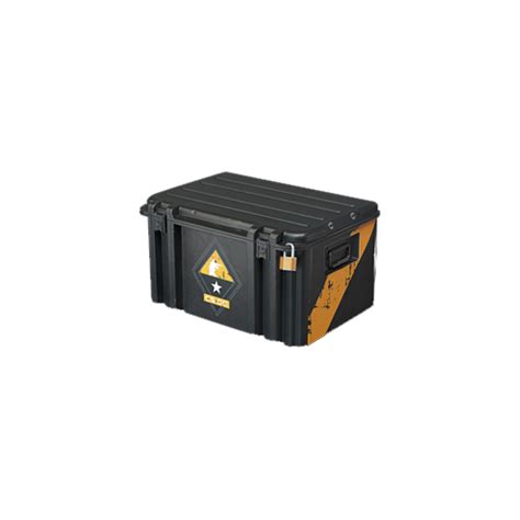 CS GO Weapon Case CS Game Items Gameflip