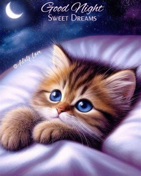 Pin By Marina Menin On Gatti Carini Good Night Cat Good Night Funny