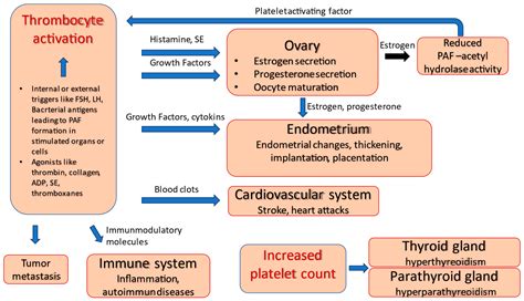 Thrombocytes And Platelet Rich Plasma As Modulators Of Reproduction And