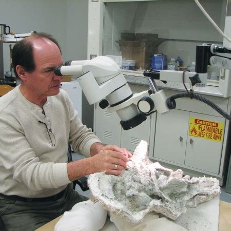 The Fossil Preparation Lab At The Utah Geological Survey Bringing Earths Ancient Past To Life