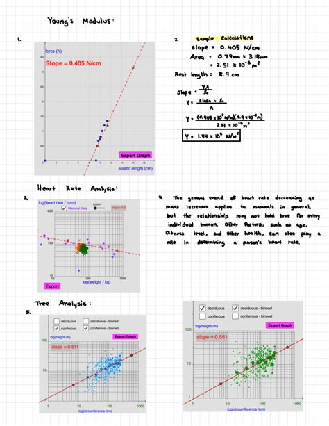 Lab B Lab Phys Studocu