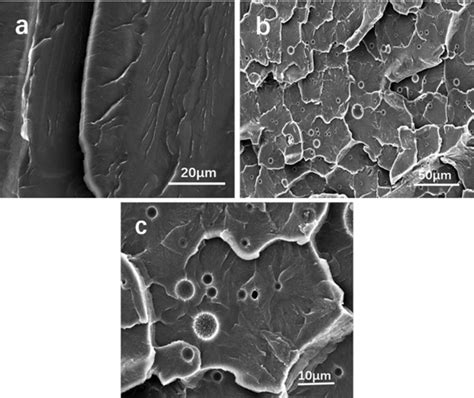 SEM Of PMMA Section At Different Magnifications A Pure PMMA B C No Download Scientific