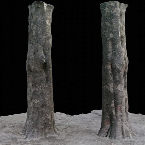 Tree Free Trees Models Blenderkit