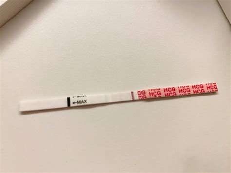 배란10일차에 임신 사실 확인한 임신극초기 증상 임테기 진하기 네이버 블로그