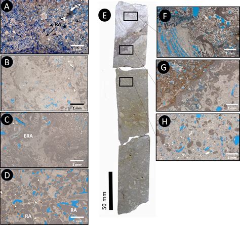 Figure 6 From Controls On Neogene Carbonate Facies And Stratigraphic Architecture Of An Isolated