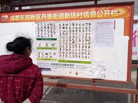爱鸟周宣传活动启航，让爱鸟护鸟意识翱翔成都东部新区校园 关注森林