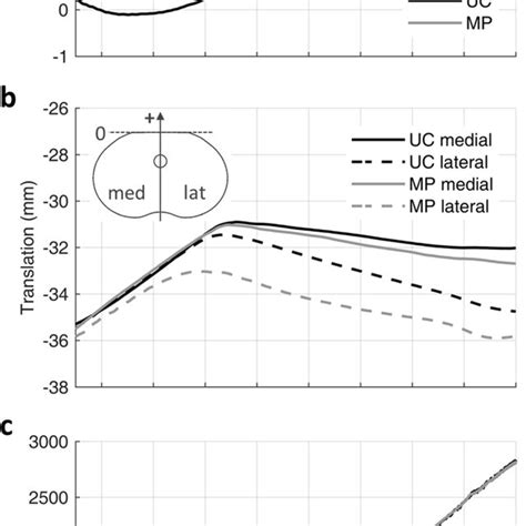 Kinematics And Dynamics Findings From The Squat Movement A Tibial Download Scientific