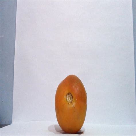 Tomato Sorter Object Detection Dataset And Pre Trained Model By Tomatodetection