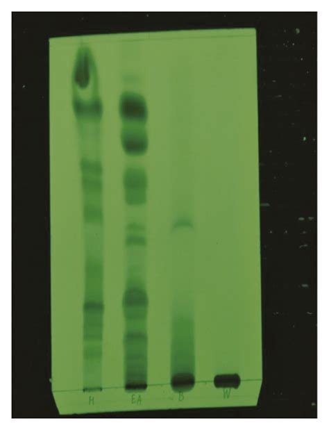 Tlc Profiles For Hexane Ethyl Acetate Butanol And Aqueous Extracts Download Scientific