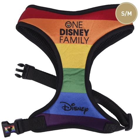 Disney Disney Disney Pride 98 Rainbow