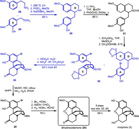 Synthesis Of Morphine Alkaloids And Derivatives Springerlink