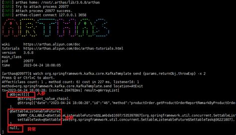 arthas现网排查 查看方法出入参 java从精通到入门 博客园