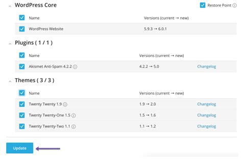 Managing Wordpress Updates Using Wordpress Toolkit