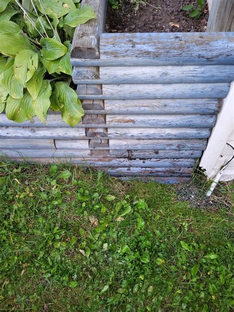 Post With Snipers Hiding In Plain Sight Rfindthesniper