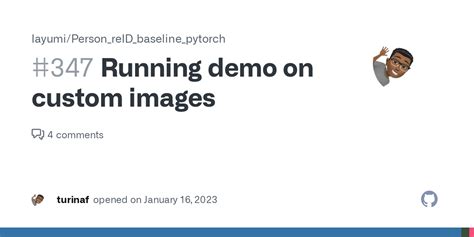 Running Demo On Custom Images Issue 347 Layumi Person ReID