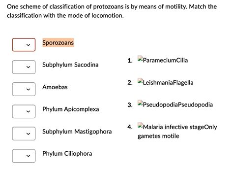 Solved One Scheme Of Classification Of Protozoans Is By Means Of Motility Match The