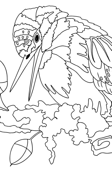 Розмальовки Птахи для дорослих Онлайн або Скачати та Надрукувати