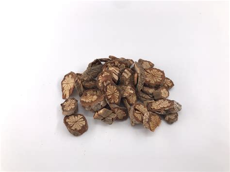 大血藤的功效与作用 图片 禁忌 乡间郎中