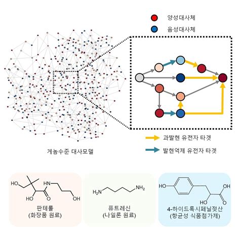 Kaist 미생물 세포공장 빠르게 구축 시뮬레이션 프로그램 개발 나무뉴스