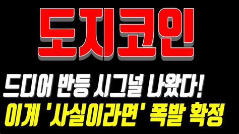 도지코인 전망 드디어 반등 시그널 포착 이게 사실이라면 폭발 확정 Youtube