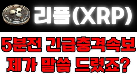 리플 여러분 리플 올라간다고 했죠리플 리플코인 리플전망 암호화폐 Youtube