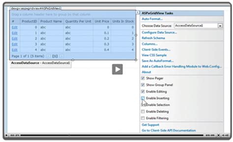 How To Get Started With The ASPxGridView