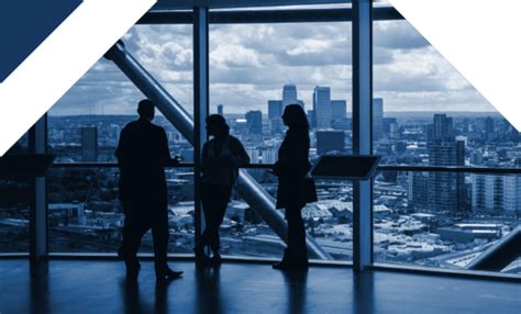 Tritusa Considering Expansion Into U S Market