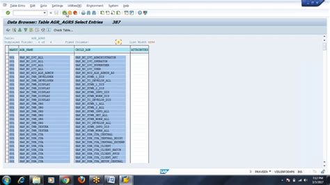 Sap Transactions In Roles Table At Peggy Bradley Blog