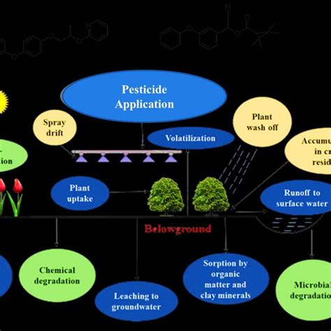 Fate Of Pyriproxyfen And Fenpropathrin In The Environment Download Scientific Diagram