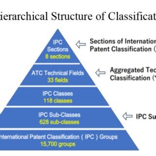FIGURE E Hierarchical Structure Of Classification Download Scientific Diagram
