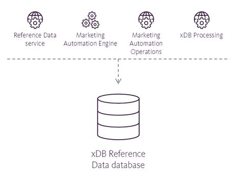 what is the purpose of reference database and share databases in