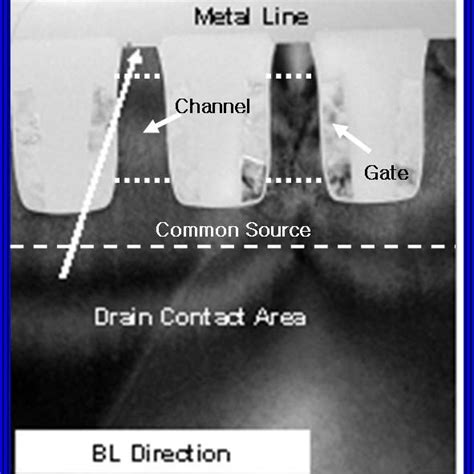 Tem Image Of Surrounding Gate 1t Dram Cell Download Scientific Diagram