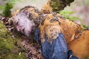 Фото: Ганнибал / Кадр из сериала «Ганнибал» (2013) #2394208