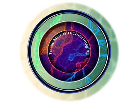 2025 Tissue Microstructure Imaging Conference Grc