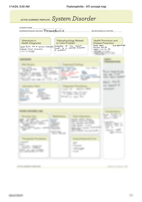Solution Discover The Ultimate Professional Guide Pyelonephritis Ati Concept Map Unveiled