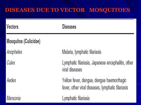 The Vector Mosquitoes Pptx