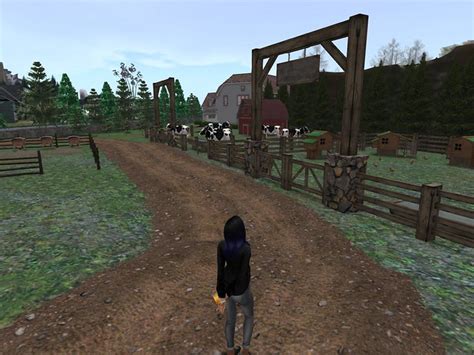 Sandra Willow Flickr