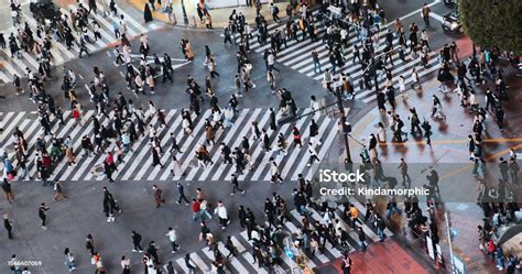 일본인 아시아인 여행자 보행자가 도쿄의 시부야 스크램블 교차로에서 밤에 교차로를 걷고 있습니다 일본 관광 명소 여행 랜드마크 아시아 교통 도시 생활 개념 가로등에 대한 스톡