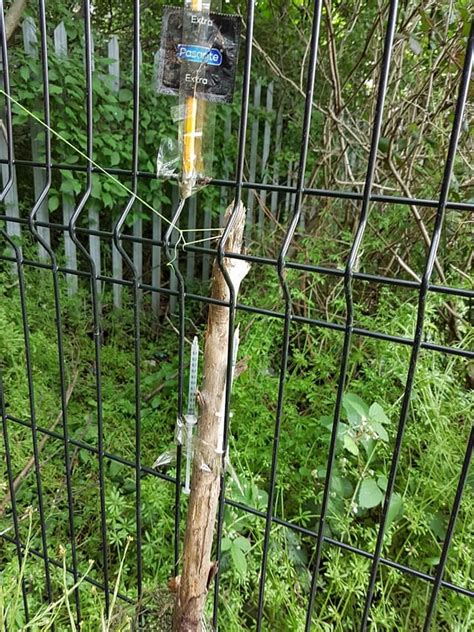 Shocking Pics Show Sex Workers Home In The Woods Next To Leeds Primary Babe The Sun The Sun