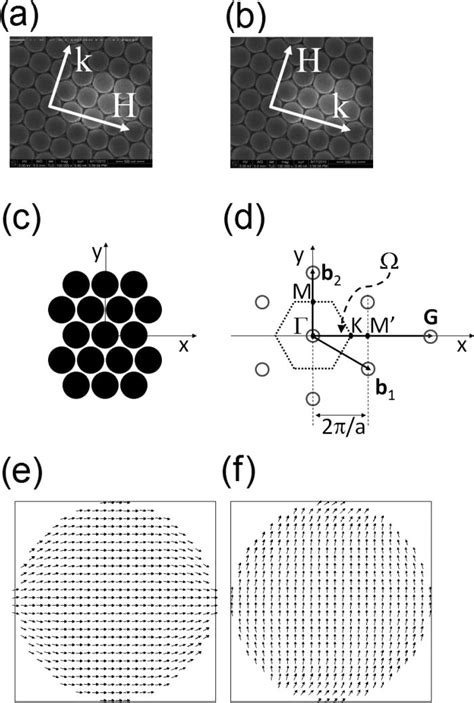 Asymmetry Of Spin Wave Dispersions In A Hexagonal Magnonic Crystal