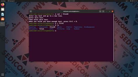 Команды Линукс для создания файлов курсы администратора Linux Ереван