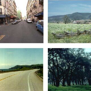 Example Images Of 8 Different Categories In The OSR Dataset Download Scientific Diagram