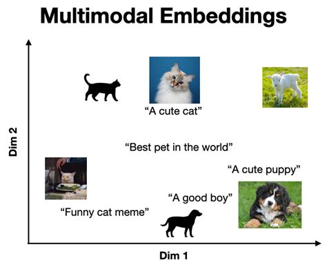 Fine Tuning Multimodal Embedding Models Towards Data Science