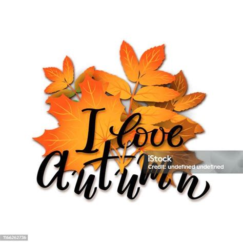 가을 단풍의 현실적인 벡터 꽃다발 오렌지 단풍 나무와 로완 나무 잎 손으로 그린 글자 나는 가을을 사랑 계절 판매 프로모션 가을 인사말 카드에 대한 배경없이 고립 로고 10