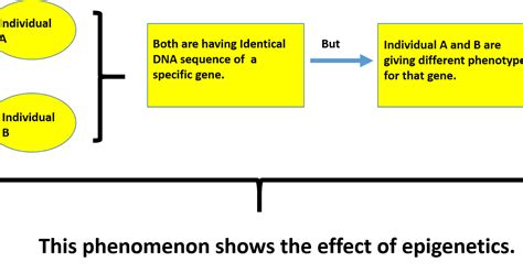 Epigenetics Wikipedia