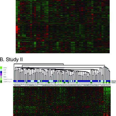 Hierarchical Clustering With Euclidean Distance And Average Linkage Download Scientific Diagram