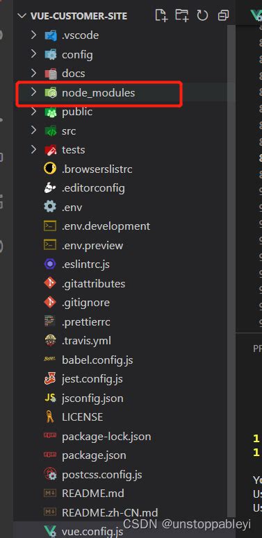 vvalidationerror invalid options object ignore plugin has been initialized using an options