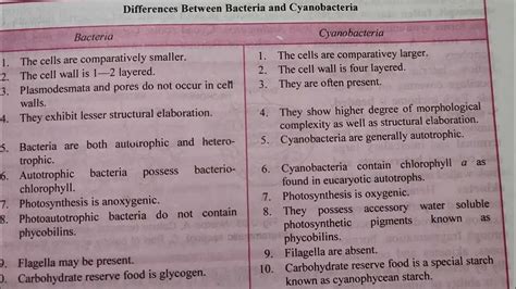 Difference Between Bacteria And Cyanobacteria Biology Best Handwritten